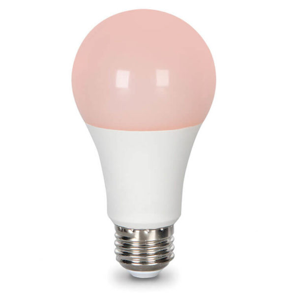 Birthday Experiences Gift Box - This Year's Best Gift Ideas